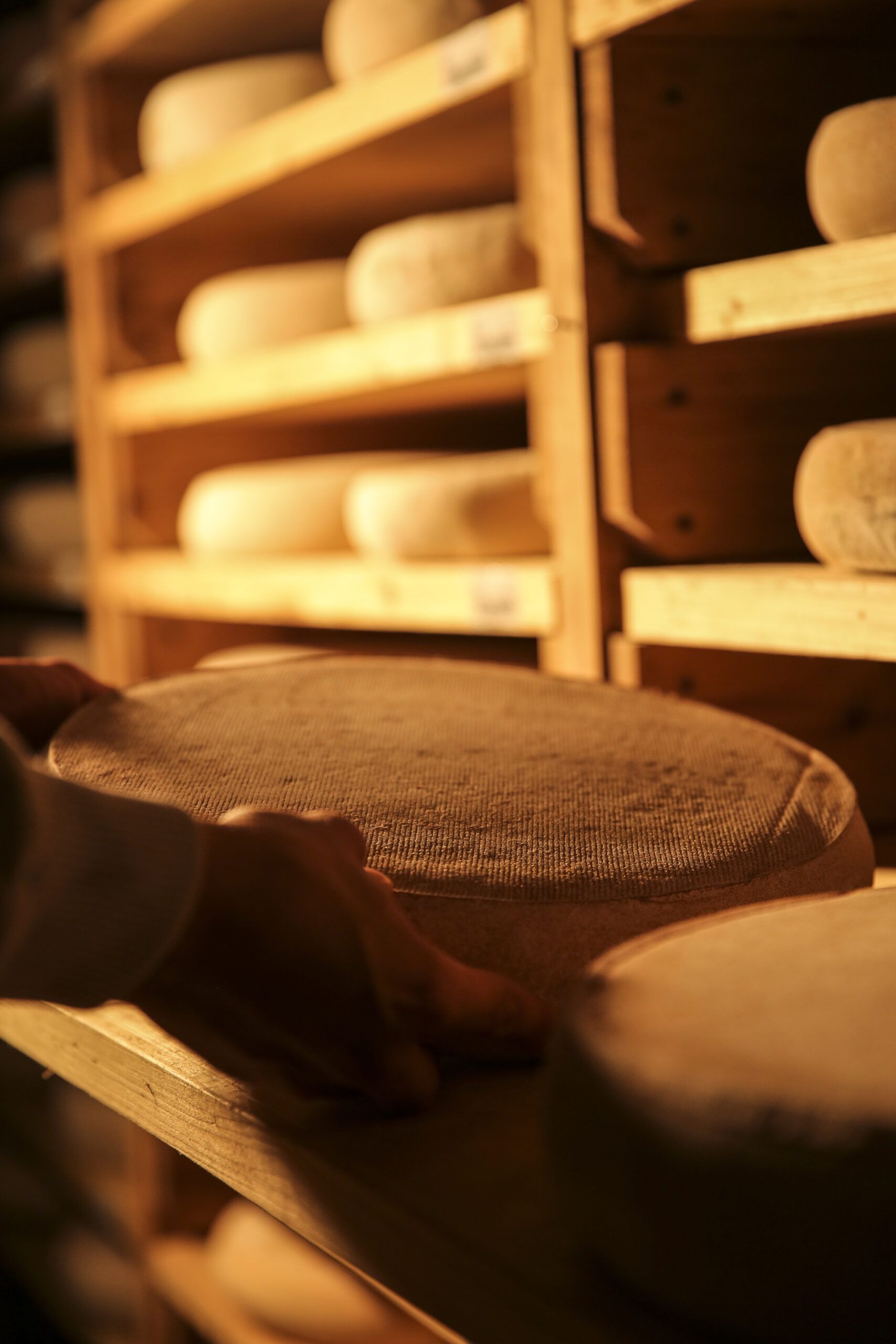 LA FROMAGERIE BEILLEVAIRE | Berjac